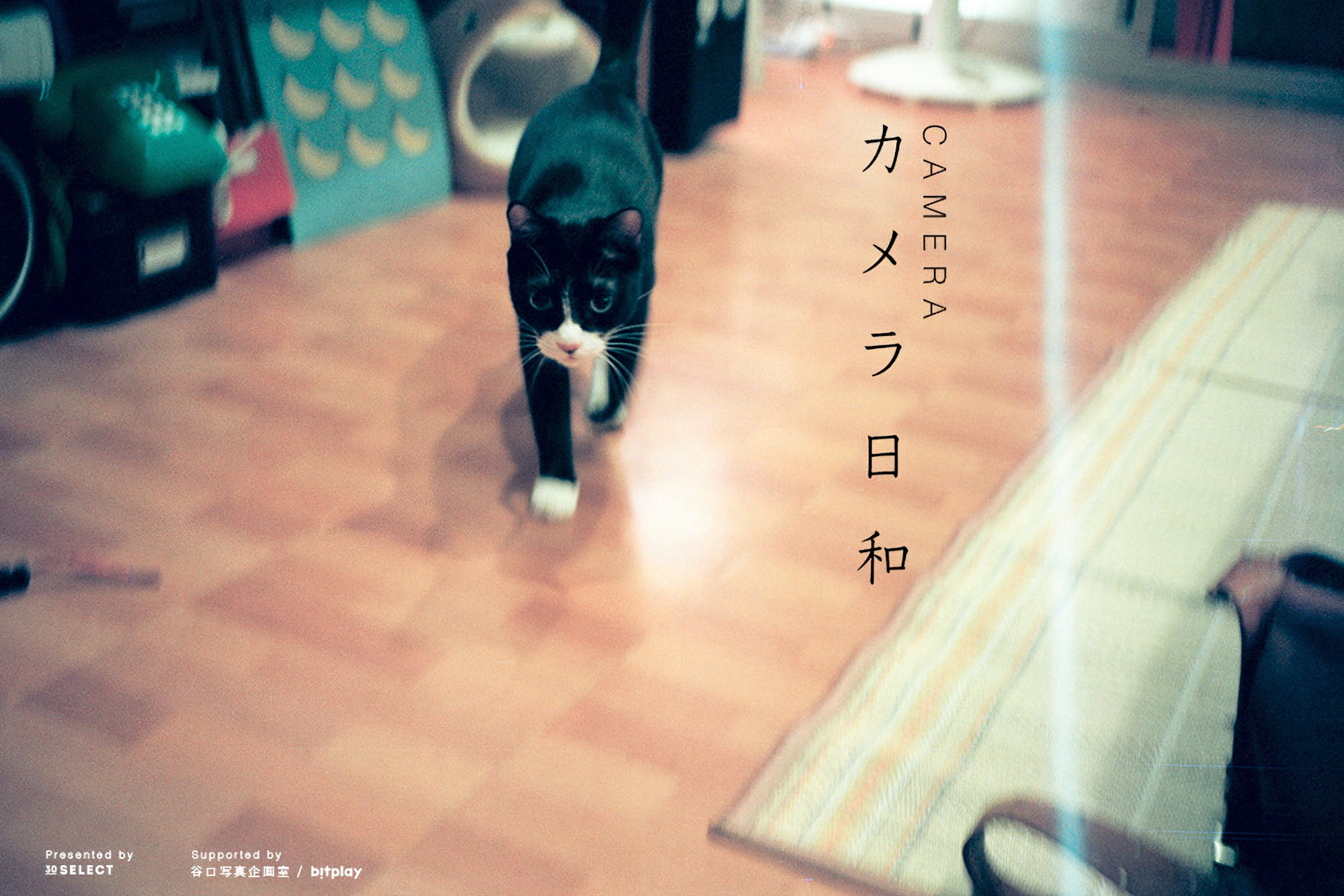 [Camera日和] 輕鬆入門底片世界 估焦相機無痛上手 – 30Select