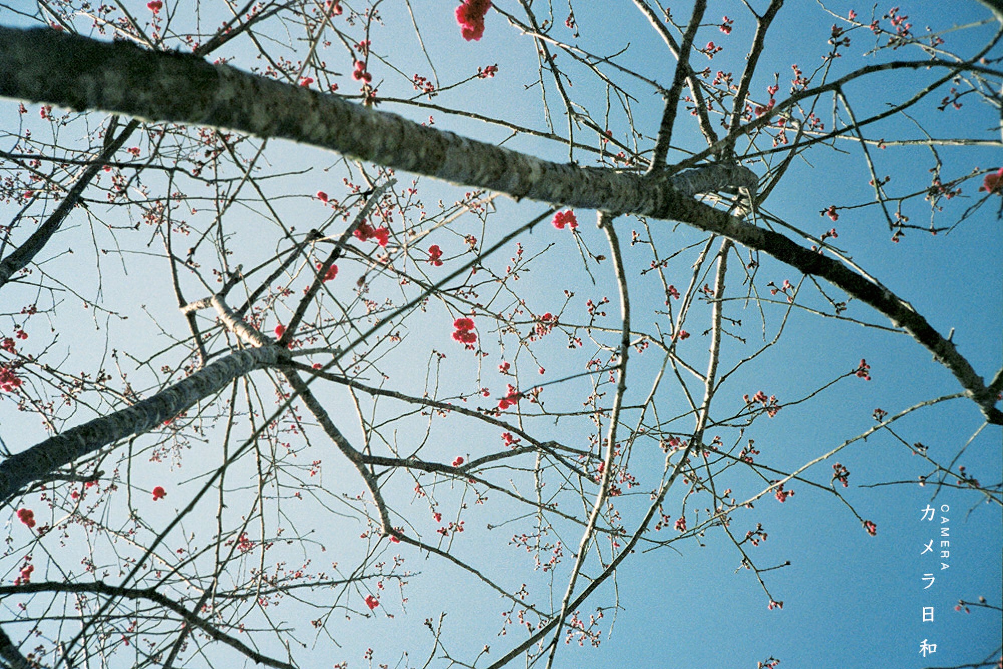 [Camera日和] RF旁軸相機 它傻瓜，你聰明 – 30Select