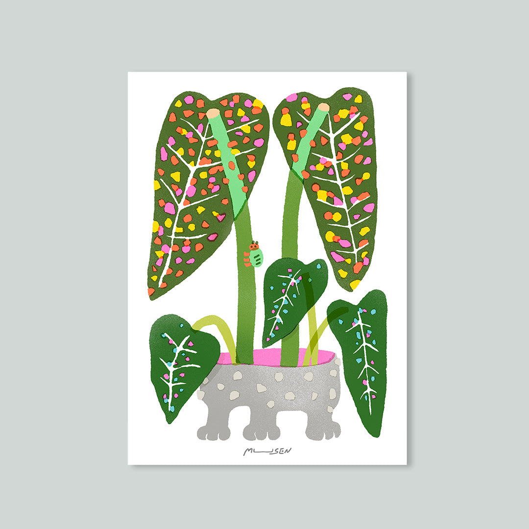 【30Select選物】musen「偏好」插畫明信片